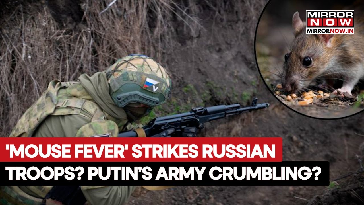 Putin's Army In Trouble, 'Mouse Fever' Hits Russian Troops; What Causes ...