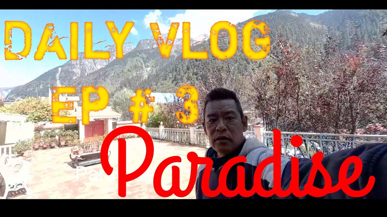 Living in Paradise || Daily Vlog || My Daily Routine || Vlog ...
