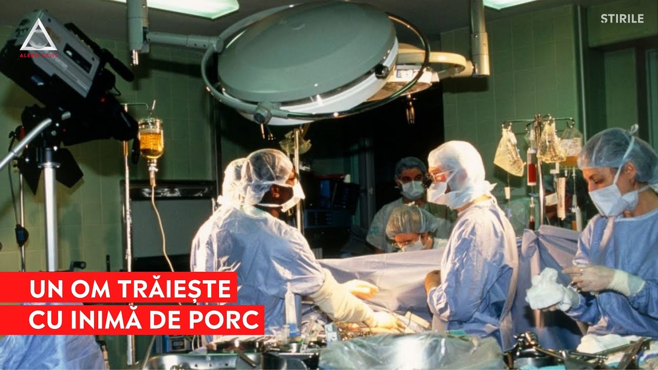 Premieră: Primul transplant de inimă de la porc la om - YouTube