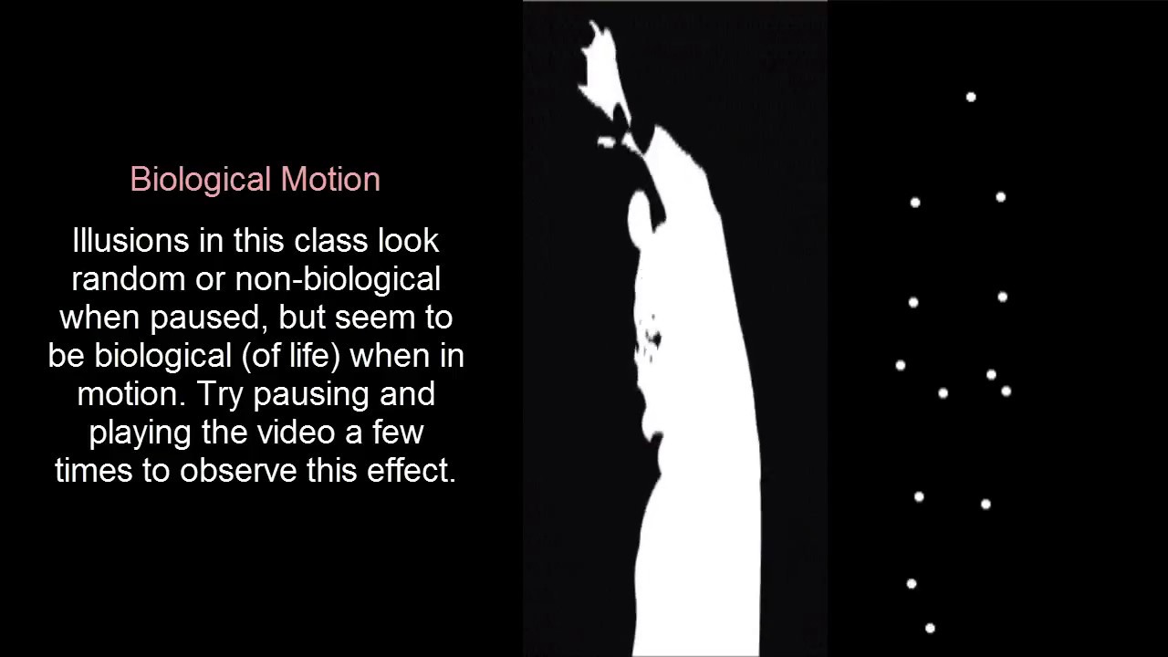 Optical Illusion: Biological Motion - YouTube