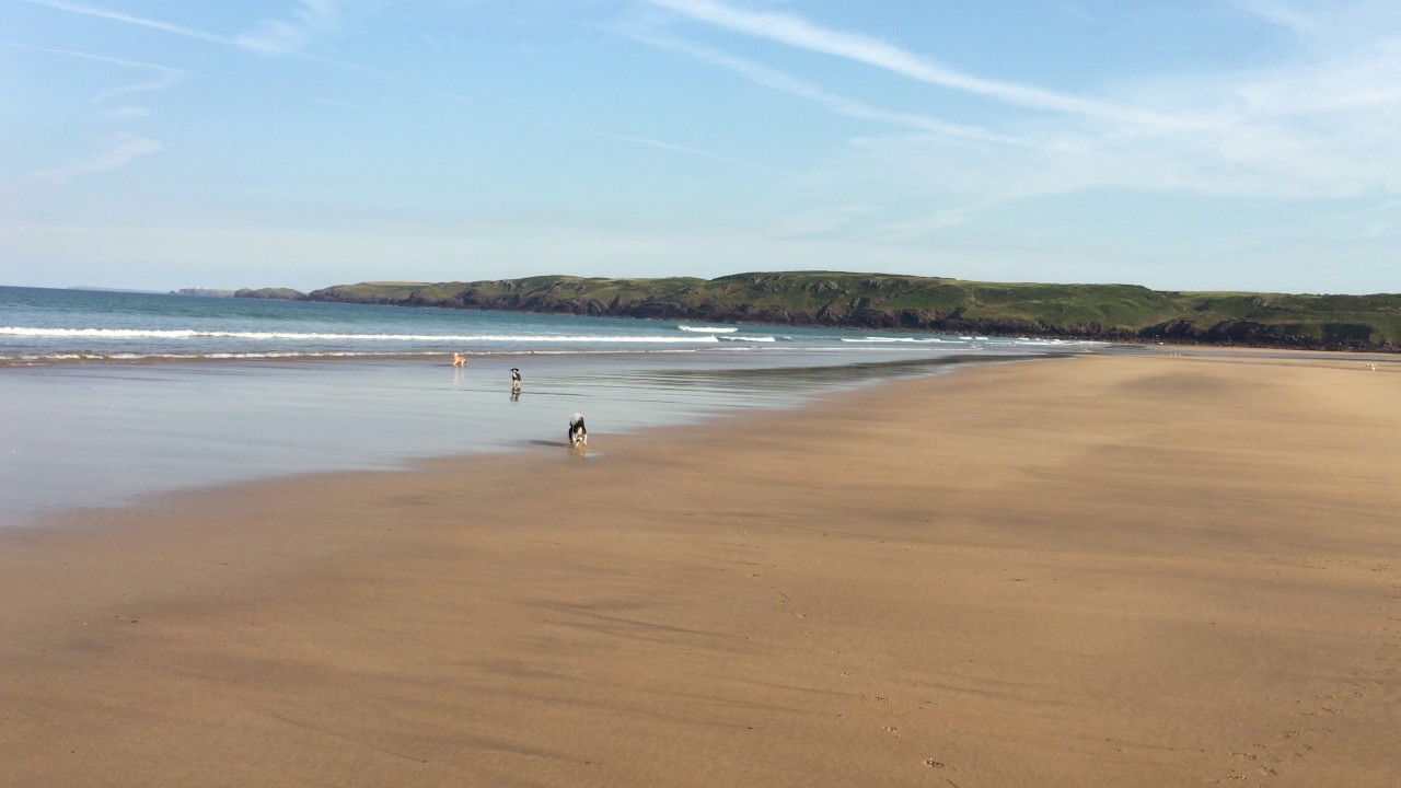 Jack, Pugsley and Bran on Freshwater West Beach - YouTube