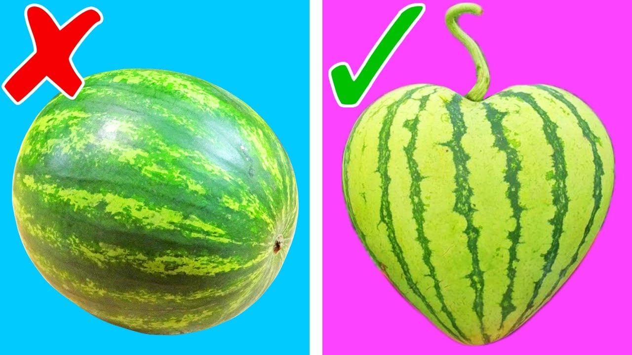 SIMPLE FRUIT LIFE HACKS - YouTube