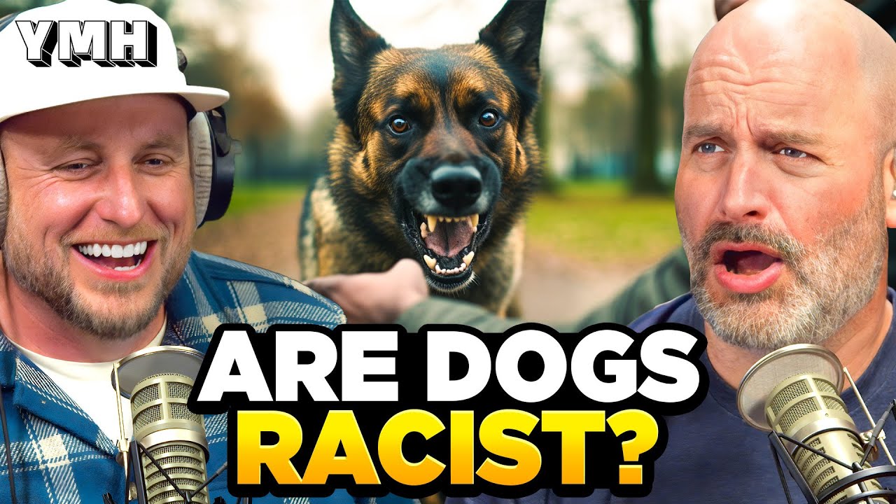 Are Dogs Racist? | YMH Highlight - YouTube