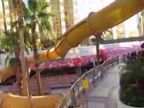 Golden Nugget Pool, The Tank, and Cabana Deck - YouTube