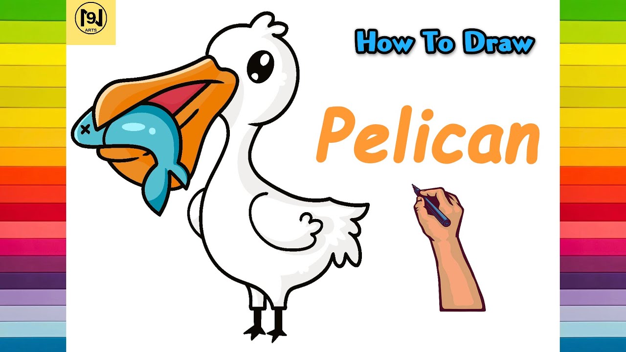 How to draw a cute Pelican easy step by step 2022 | No.9 ARTS - YouTube