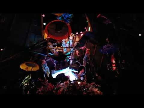 I went to Disney World I meant bay max -Epcot, tiki room. - YouTube