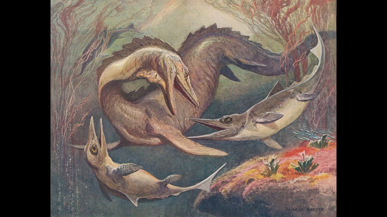 The Life and Times of the Mosasaurs, Giant Predatory Sea Reptiles - YouTube