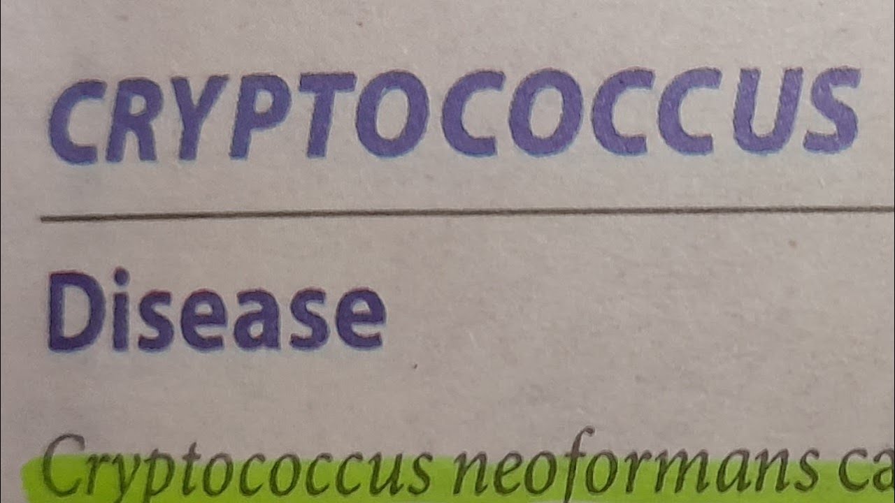 Cryptococcus - MICROBIOLOGY - YouTube