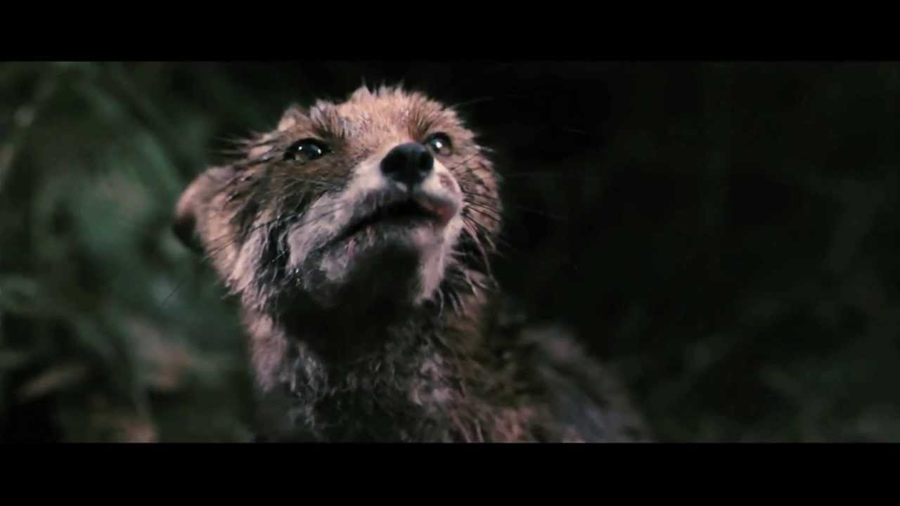 The Fox says Chaos Reigns - YouTube