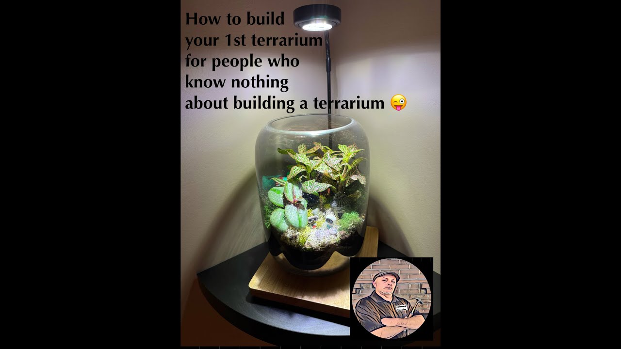 How to build your 1st terrarium for people who know nothing about ...