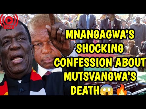 THE TRUTH UNFOLDS: Mnangagwa’s Shocking Confession About Mutsvangwa’s ...