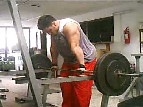 the great muscle pump