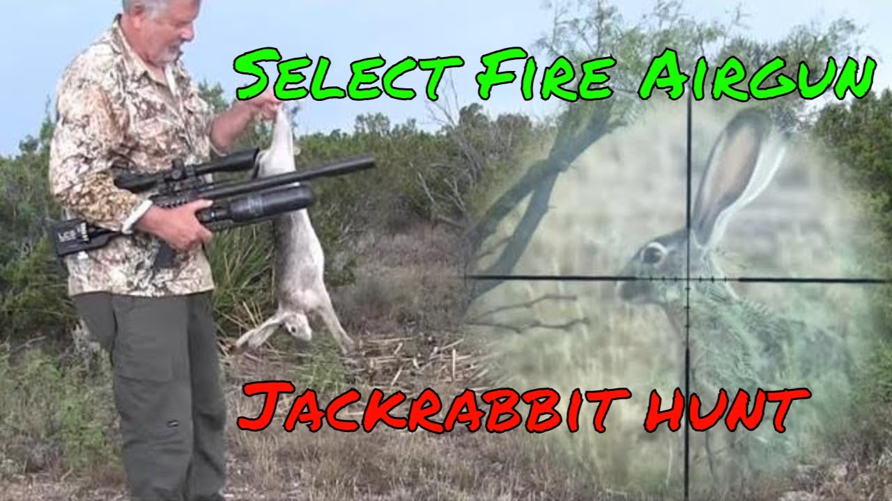 FULL AUTO Air Rifle I Jackrabbit Hunt I Airgun Pest Control - YouTube