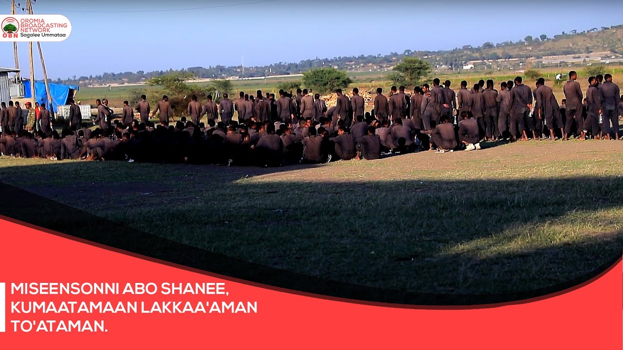 Miseensonni ABO Shanee, kumaatamaan lakkaa'aman to'ataman. - YouTube