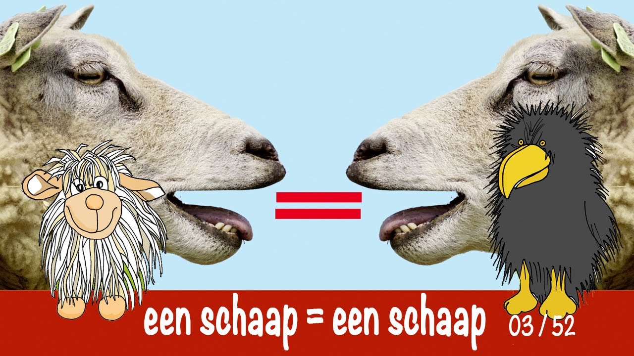 Een schaap is een schaap - YouTube