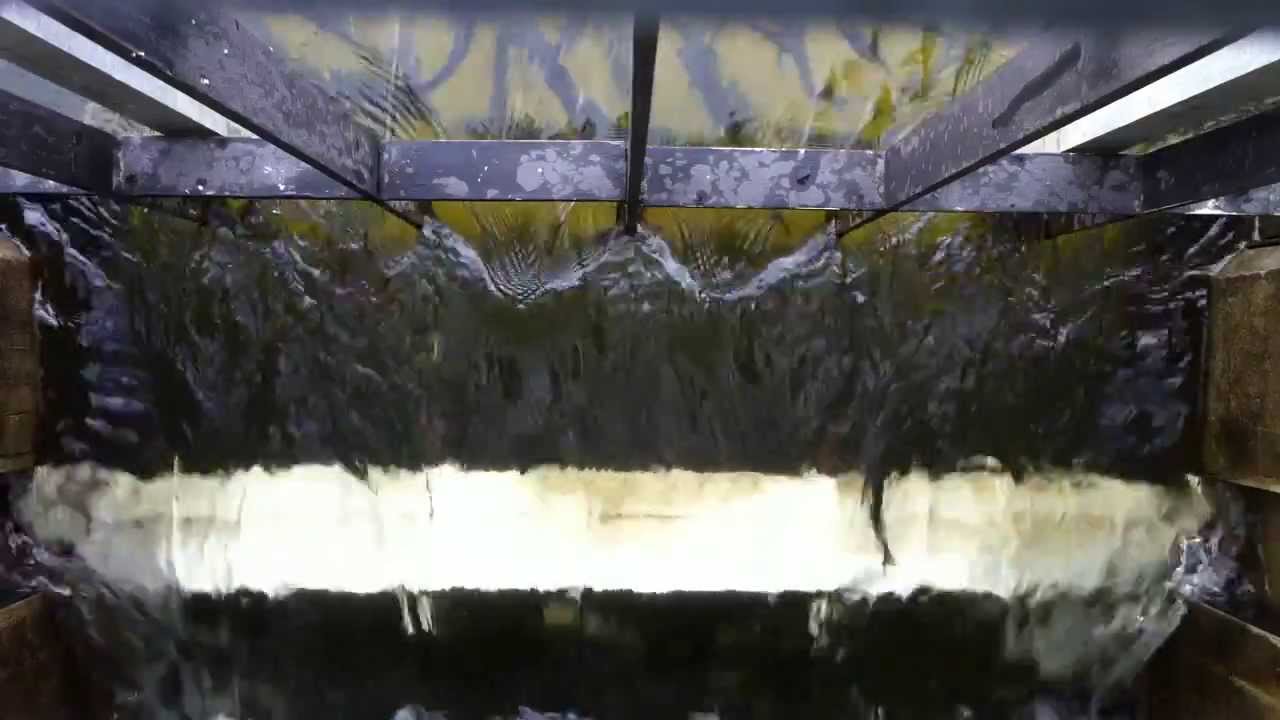 5-8-13, 4:30PM, fish ladder Mystic Lake dam - YouTube
