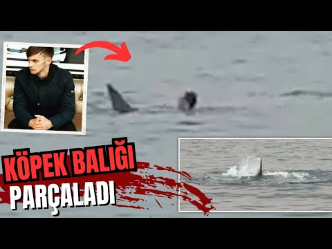 Kaplan Köpek Balığı Tarafından Parçalanan Rus Turist Vladimir Popov'un Hikayesi