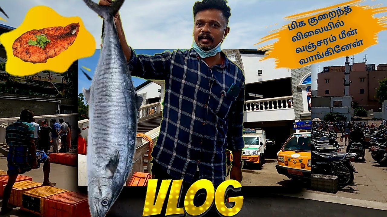 மிக குறைந்த விலையில் வஞ்**** மீன் வாங்கினேன் | Vaanagaram meen market ...
