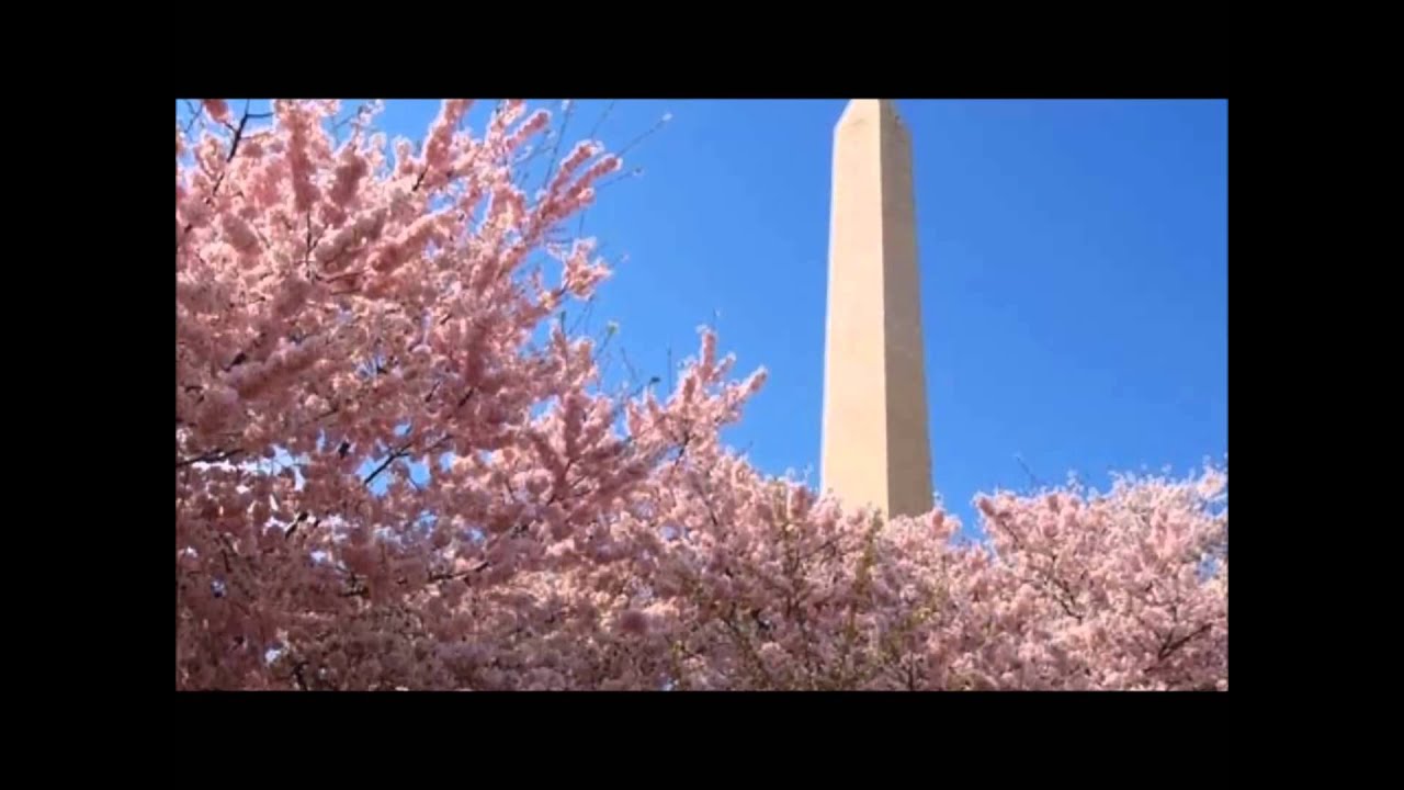 60 seconds in history Washington Monument By: David Blincoe - YouTube