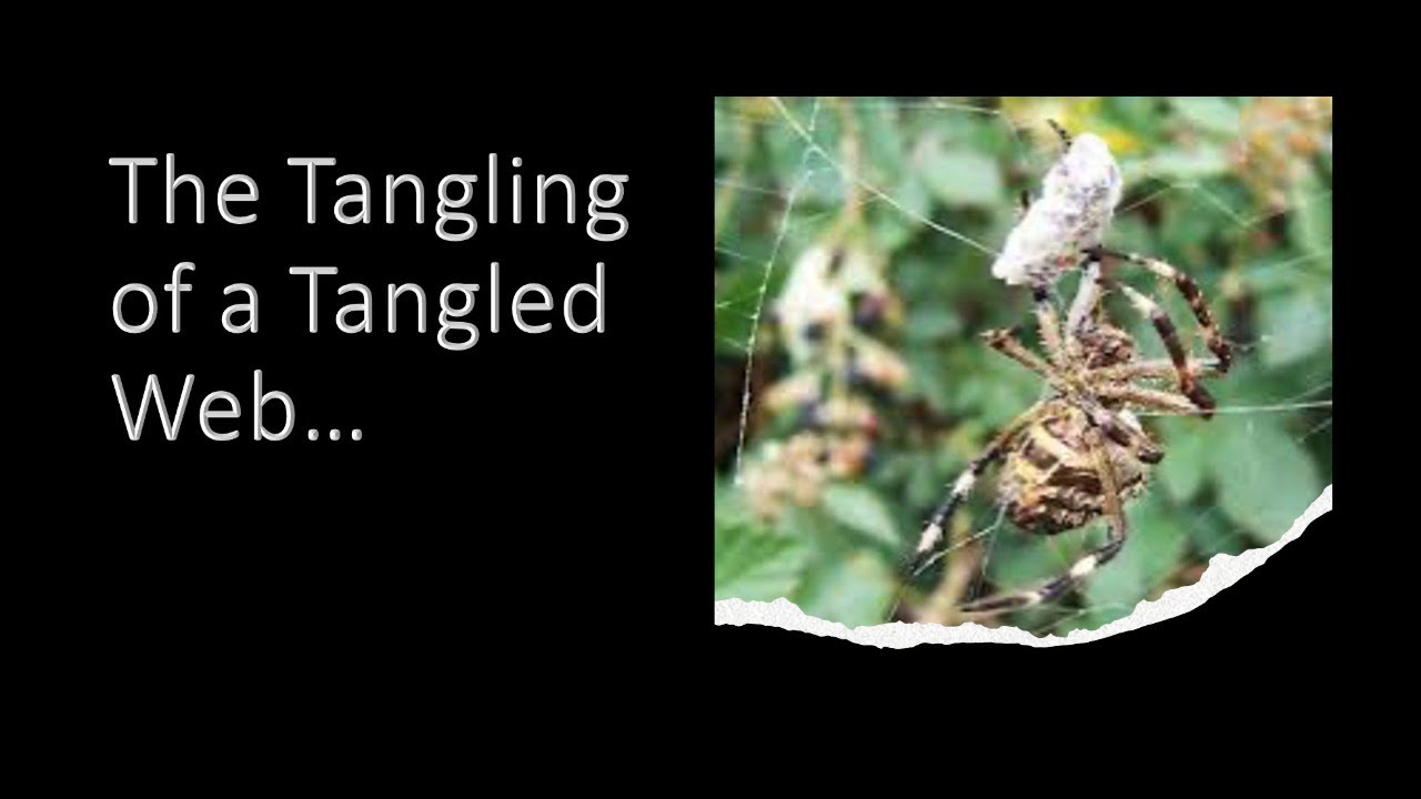 The Tangling of a Tangled Web... - YouTube