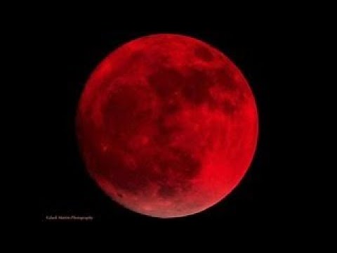 blood moons and the day of the Lord A MUST SEE! - YouTube