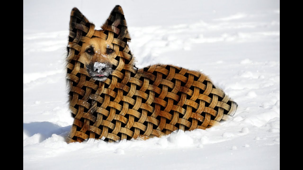 utiliser le filtre G'MIC weave de G'MIC pour "couvrir" un personnage ...