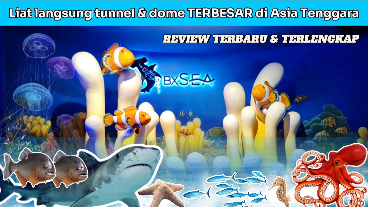 JANGAN MAU KETIPU, CEK FAKTA LENGKAP TENTANG BXSEA BINTARO, AQUARIUM ...