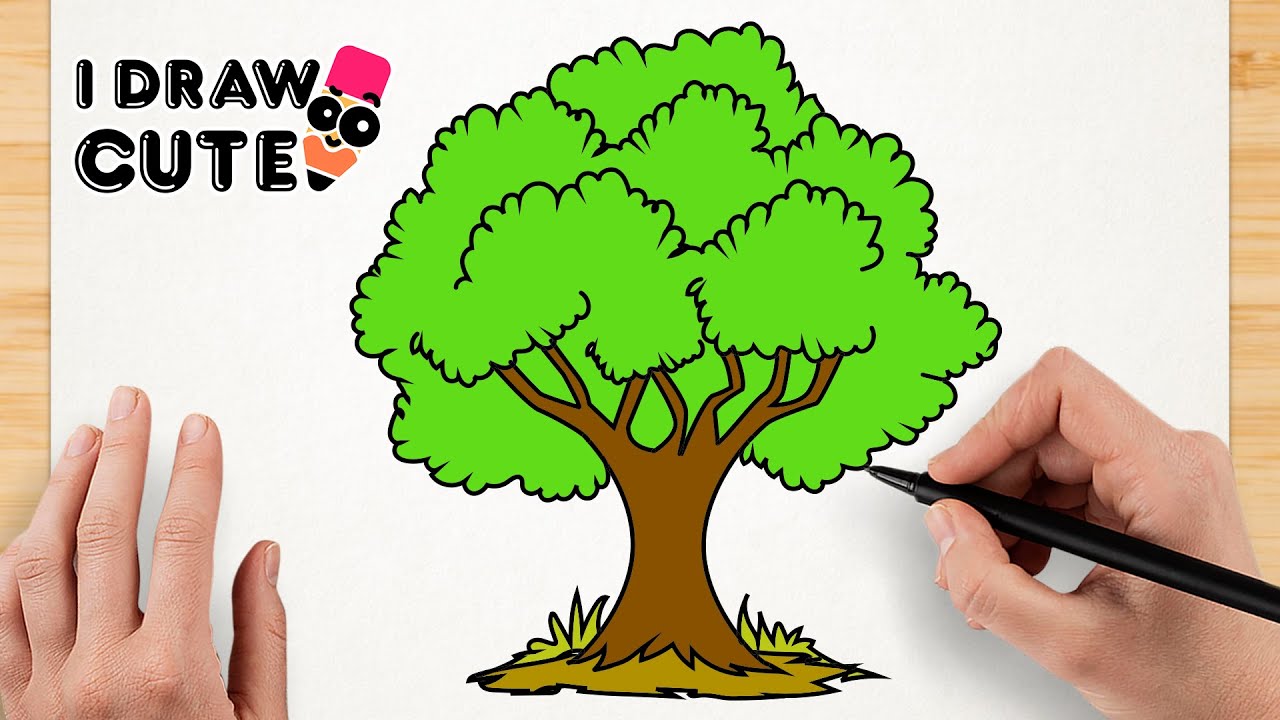 How to Draw Tree | Realistic Tree | I Draw Cute #06 - YouTube
