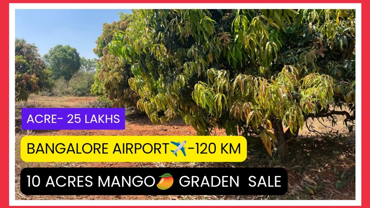 10 Acres Mango Garden Land for Sale || Puttaparthi, Andhra Pradesh 🍋 ...