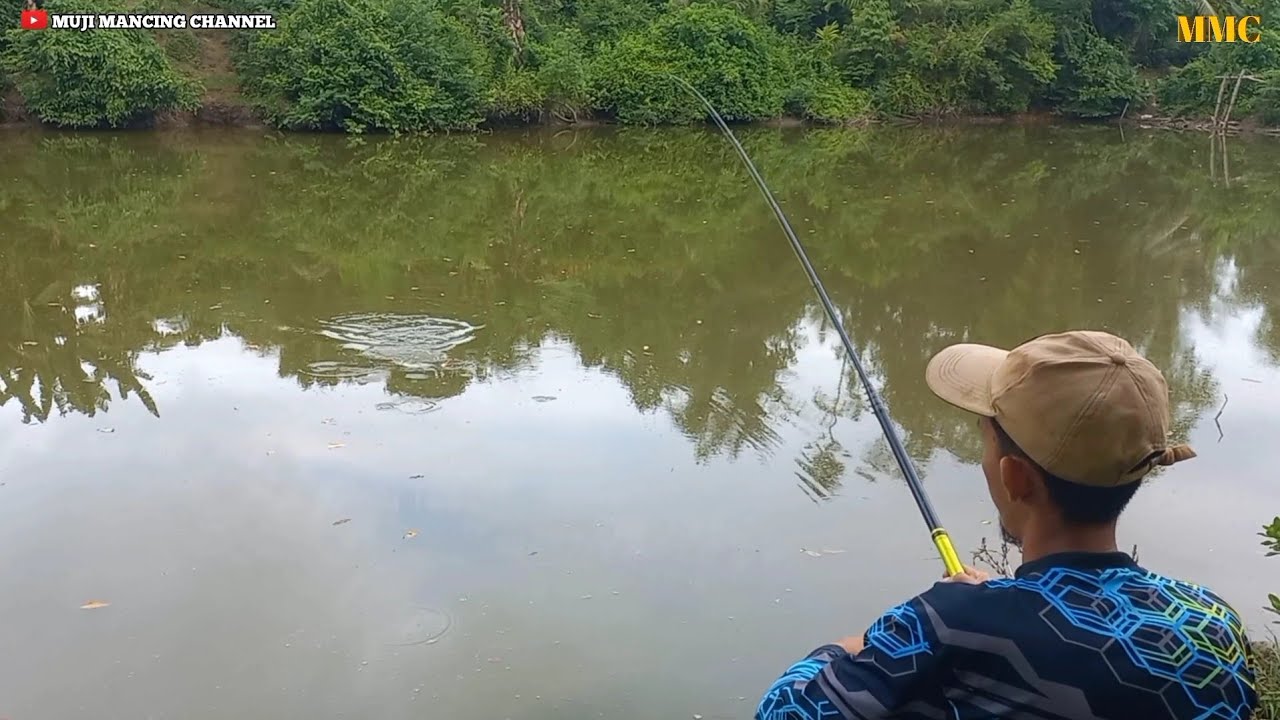 Mancing ikan nila.. spot Sepi pemancing ikan pada gumpul - YouTube