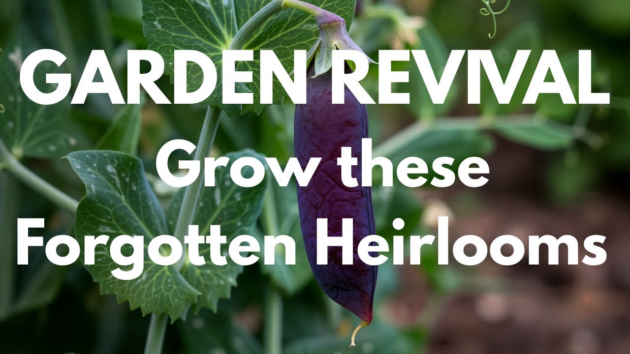 Forgotten Heirloom Veggies From America’s Past - YouTube