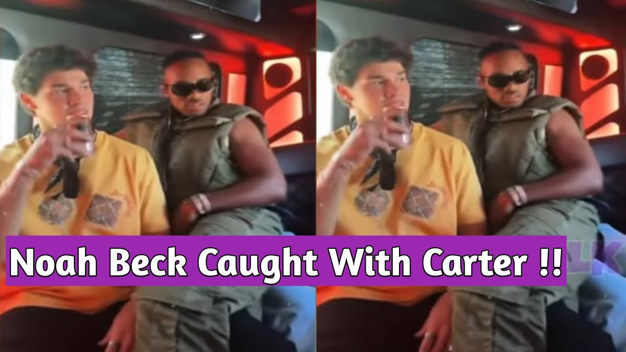 Has Noah Beck Started Dating Carter Gregory ? - Few Hints !! Dixie ...