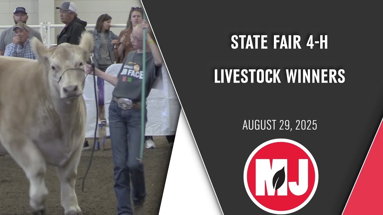 4-H Livestock winners | State Fair | August 29, 2025 - YouTube