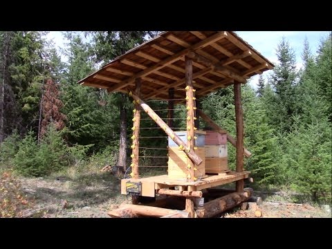Bee Hut for Improved Honey Bee production - YouTube