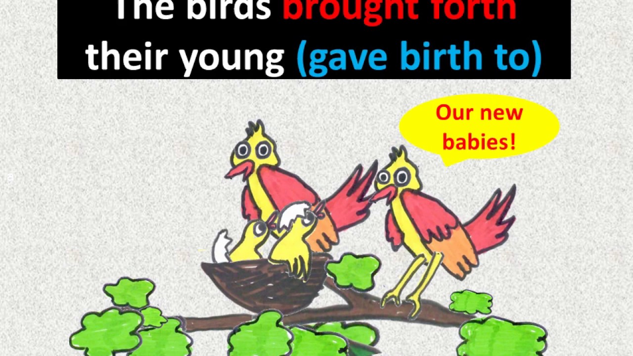 Common English phrasal verbs - bring about, bring around, bring forth ...