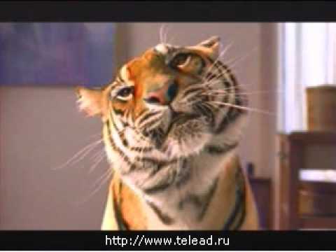 Реклама Nestle