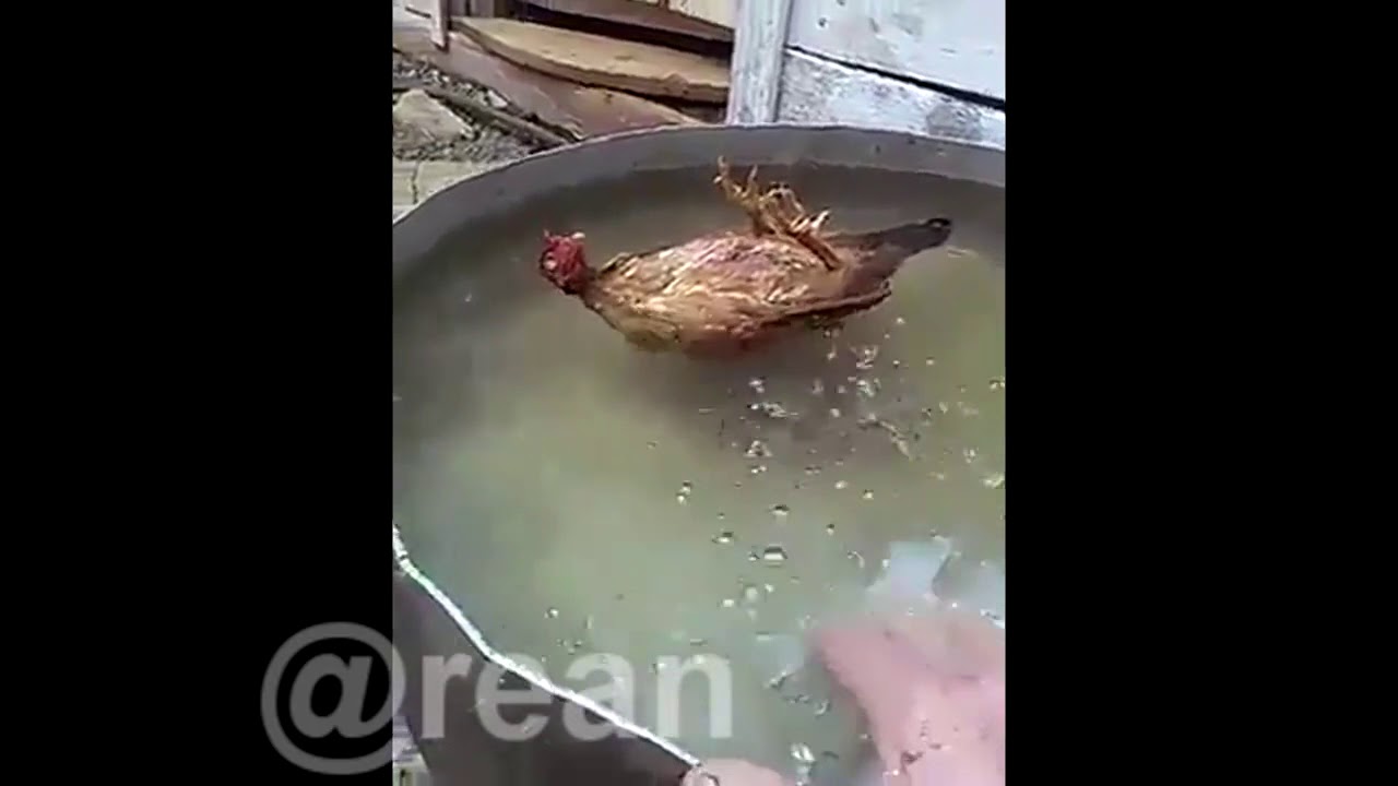 Palamig ka muna - Pinoy memes - YouTube