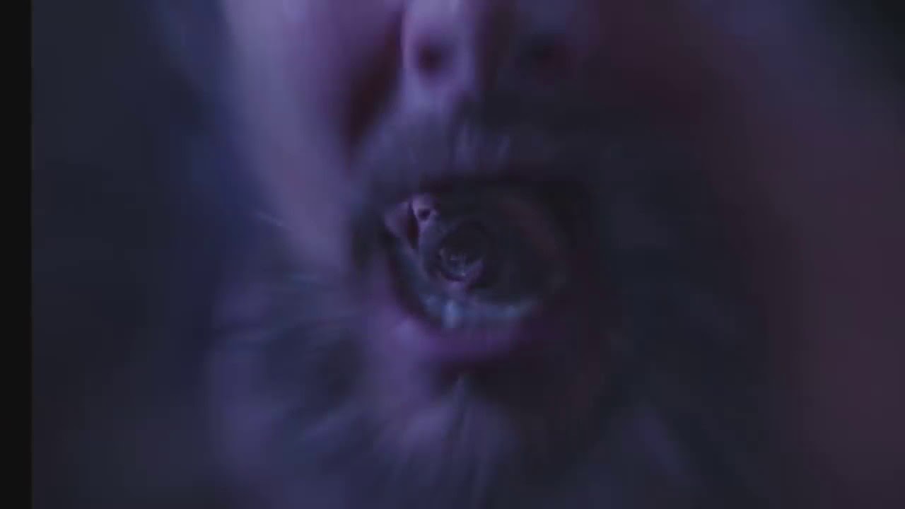 Internal Screaming - YouTube