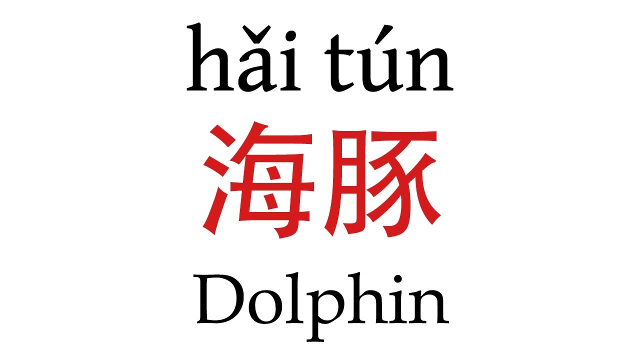 How To Say ''Dolphin'' (海豚) in Mandarin Chinese - YouTube