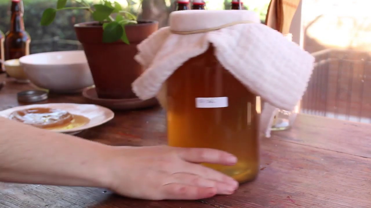 Receta de Kombucha - YouTube