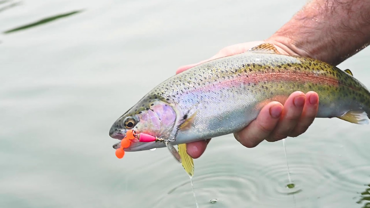 Alaska Trophy Fishing Safaris - YouTube