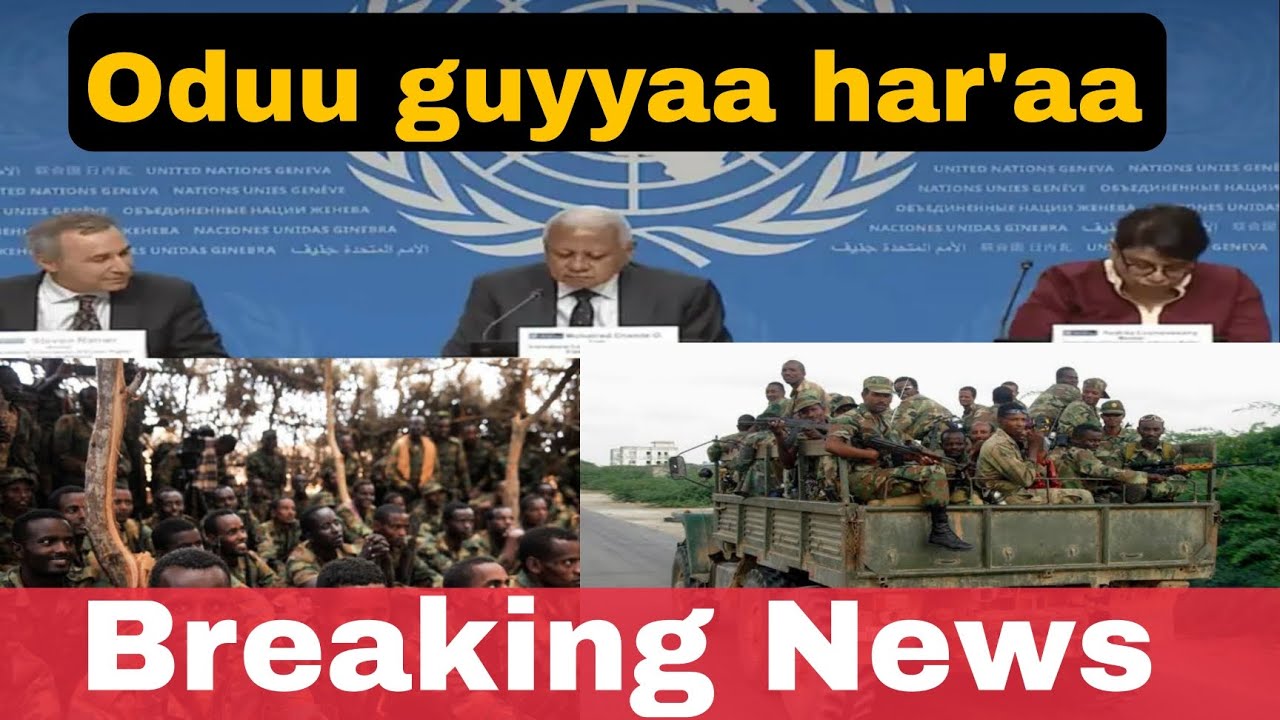 Oduu afaan oromoo guyyaa har'aa - YouTube