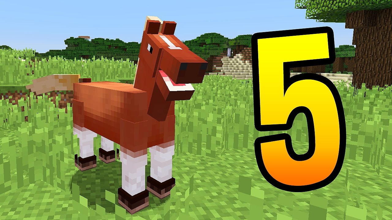5 COISAS QUE VOCÊ NÃO SABIA SOBRE O CAVALO DO MINECRAFT !!! - YouTube