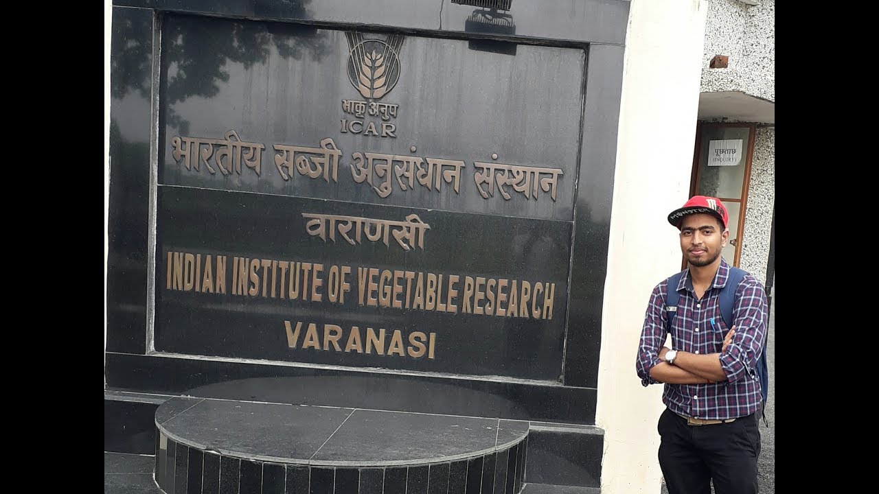 Indian Institute of Vegetable Research | ICAR-IIVR, Varanasi ...