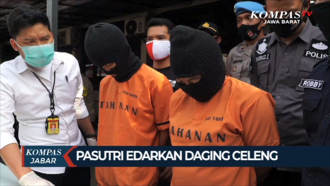 Pasutri Edarkan Daging Celeng Sejak 2014 - YouTube