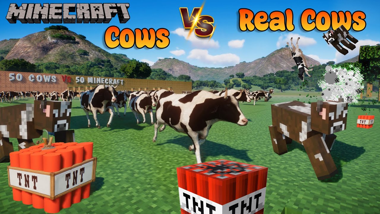 50 Minecraft Cows VS 50 Real Cows Animals Race in Minecraft Track ...