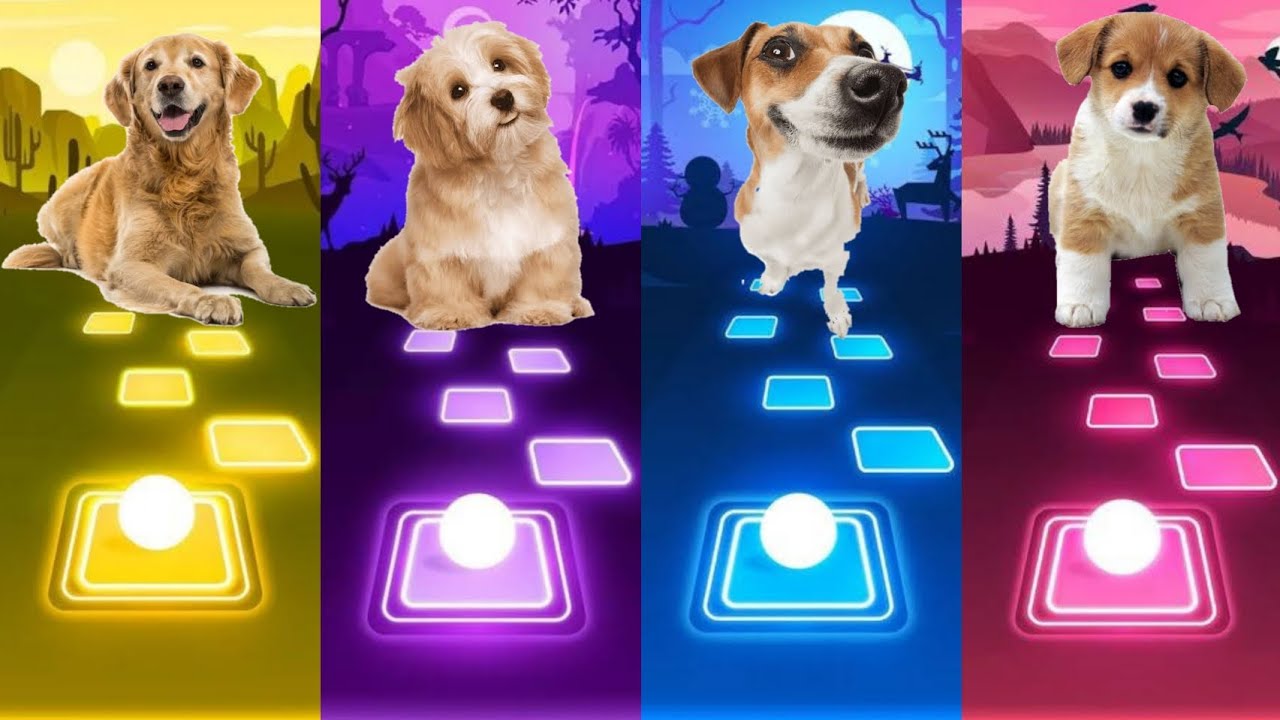 Dog VS Cute Puppy VS Dog VS Cute Puppy - Tiles Hop Edm Rush! - YouTube