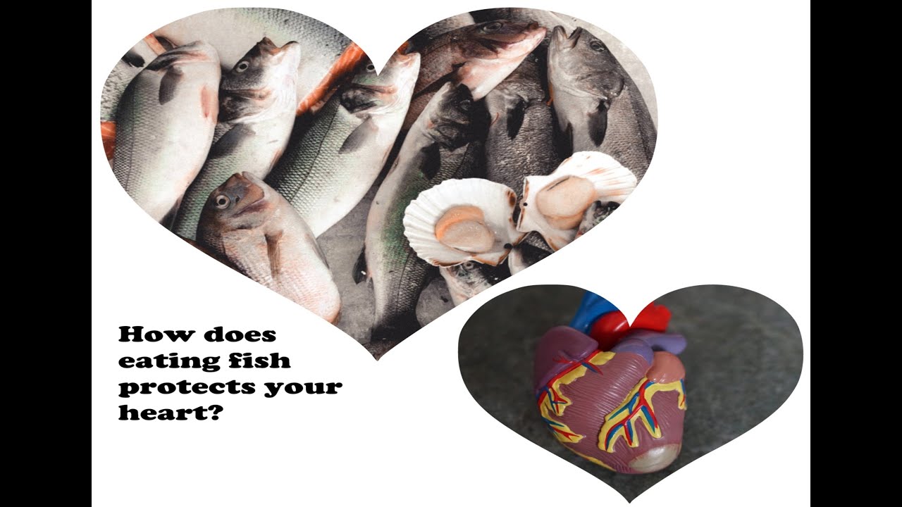 why fish is good for you| benefits of eating fish. - YouTube