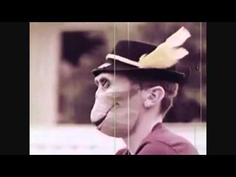 AfroDizyac - PIGS (OFFICIAL MUSIC VIDEO)