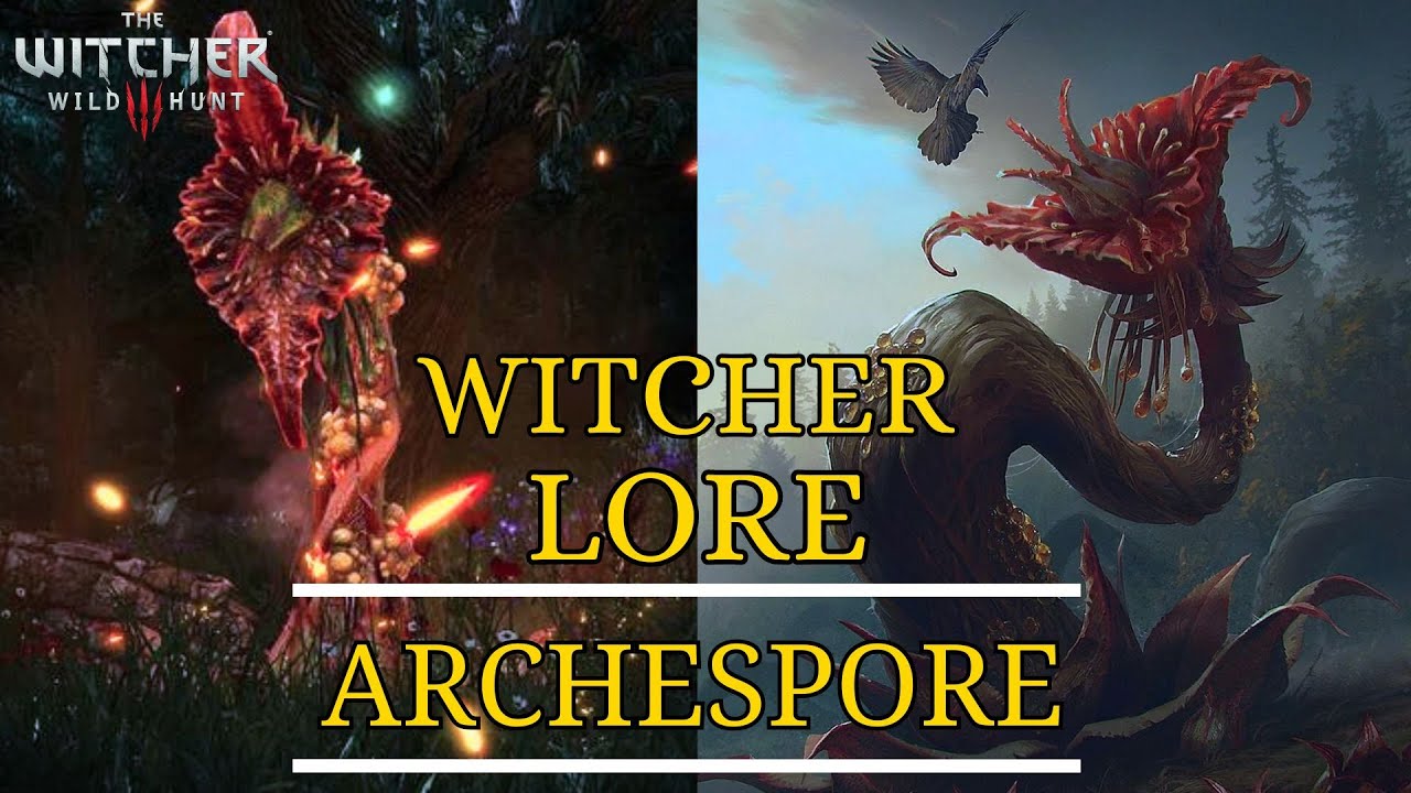 Witcher 3 Archespore Lore EXPLAINED: Mythology, and Origins Uncovered - YouTube